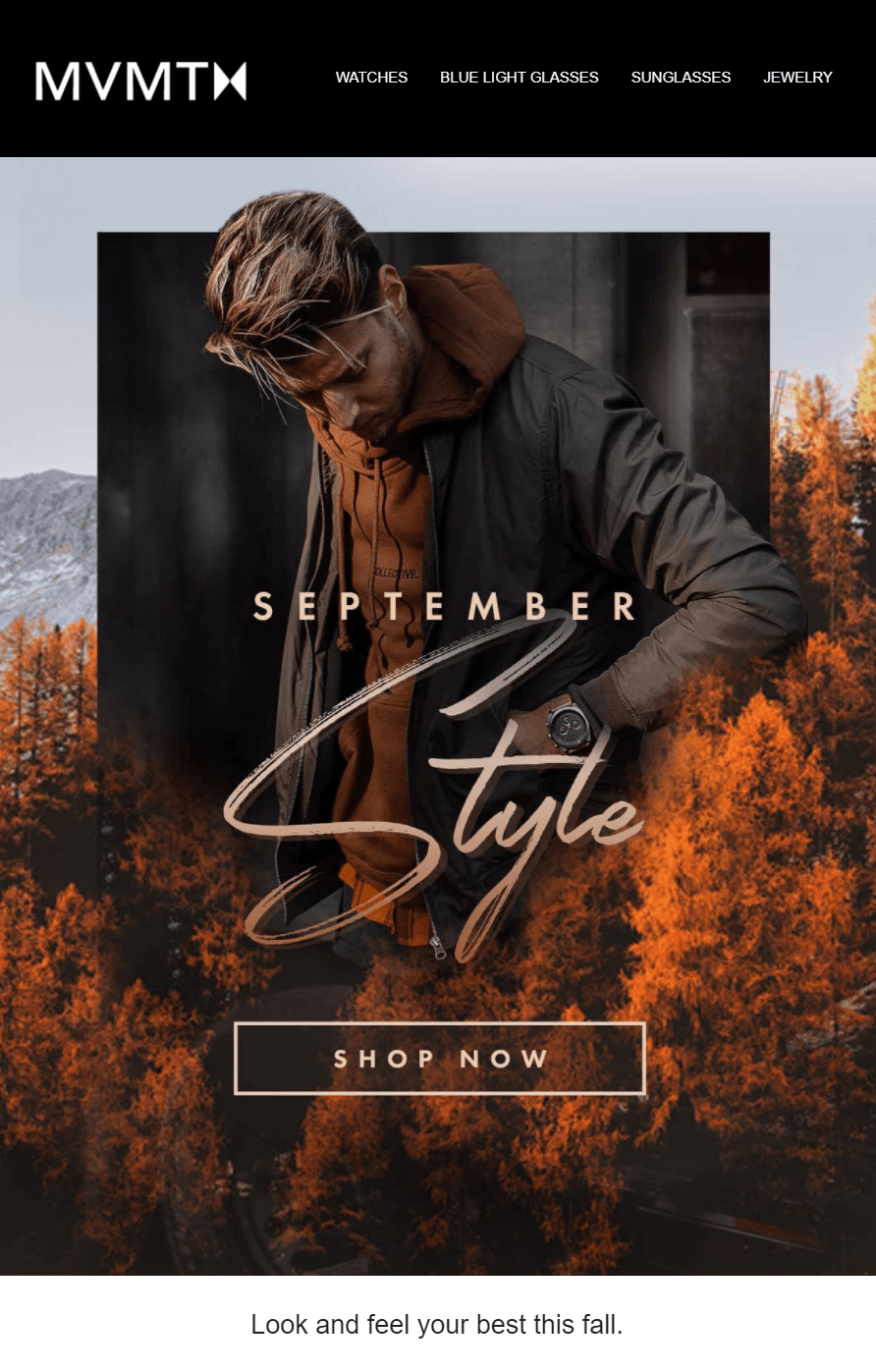 12 Email Newsletter Design Tips for Beginners (& Examples)