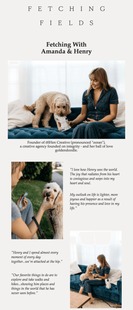 What Is A Newsletter? Definition, Purpose & Tips [2025]