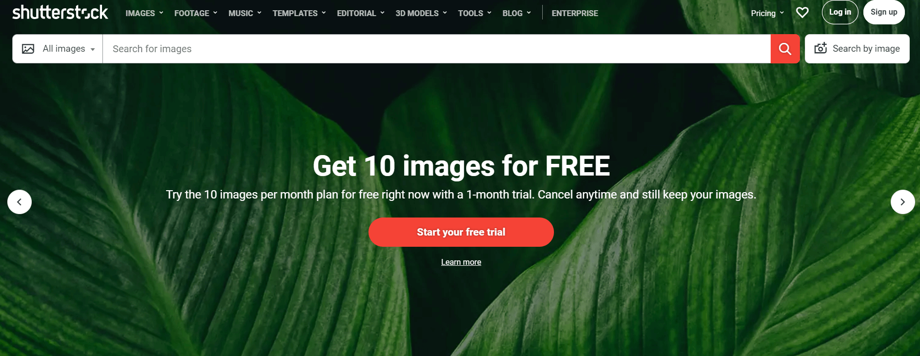 16 Best Stock Photo Sites in 2025 [Free & Paid]