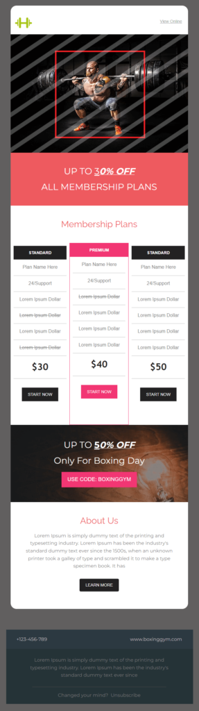 6 Sales-Oriented Boxing Day Email Templates For 2025