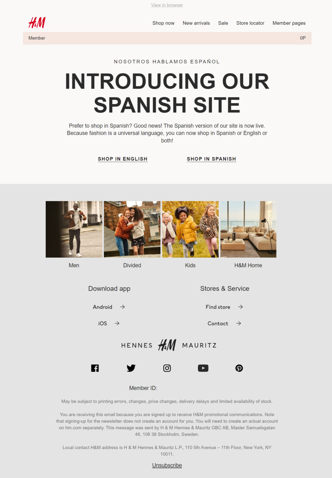 5+ New Website Announcement Email Templates and Tips