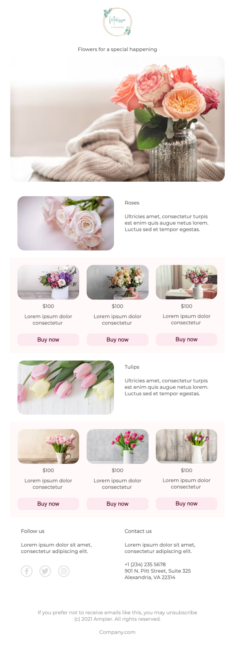 HTML Email Creation: Best Practices & Templates [2025]