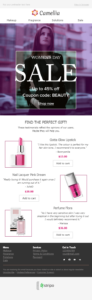International Women's Day Email Examples for Inspiration