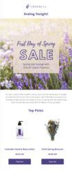 Spring Email Marketing: Campaigns, Examples & Templates [2025]