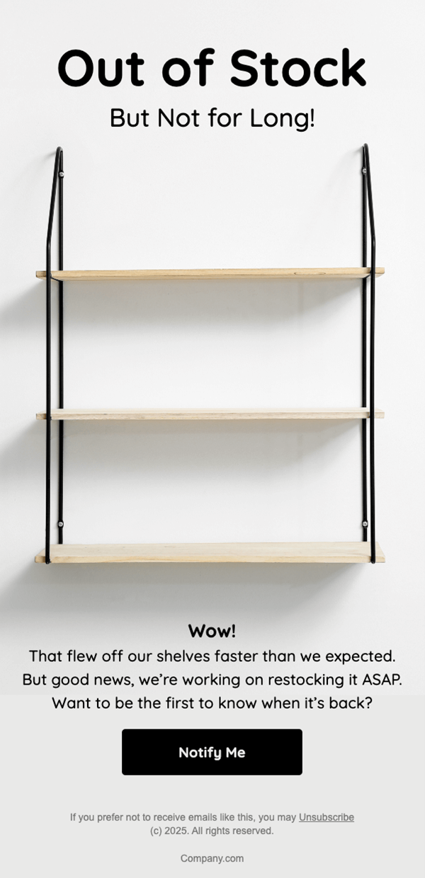 Out-of-Stock Emails: Best Practices, Examples & Templates